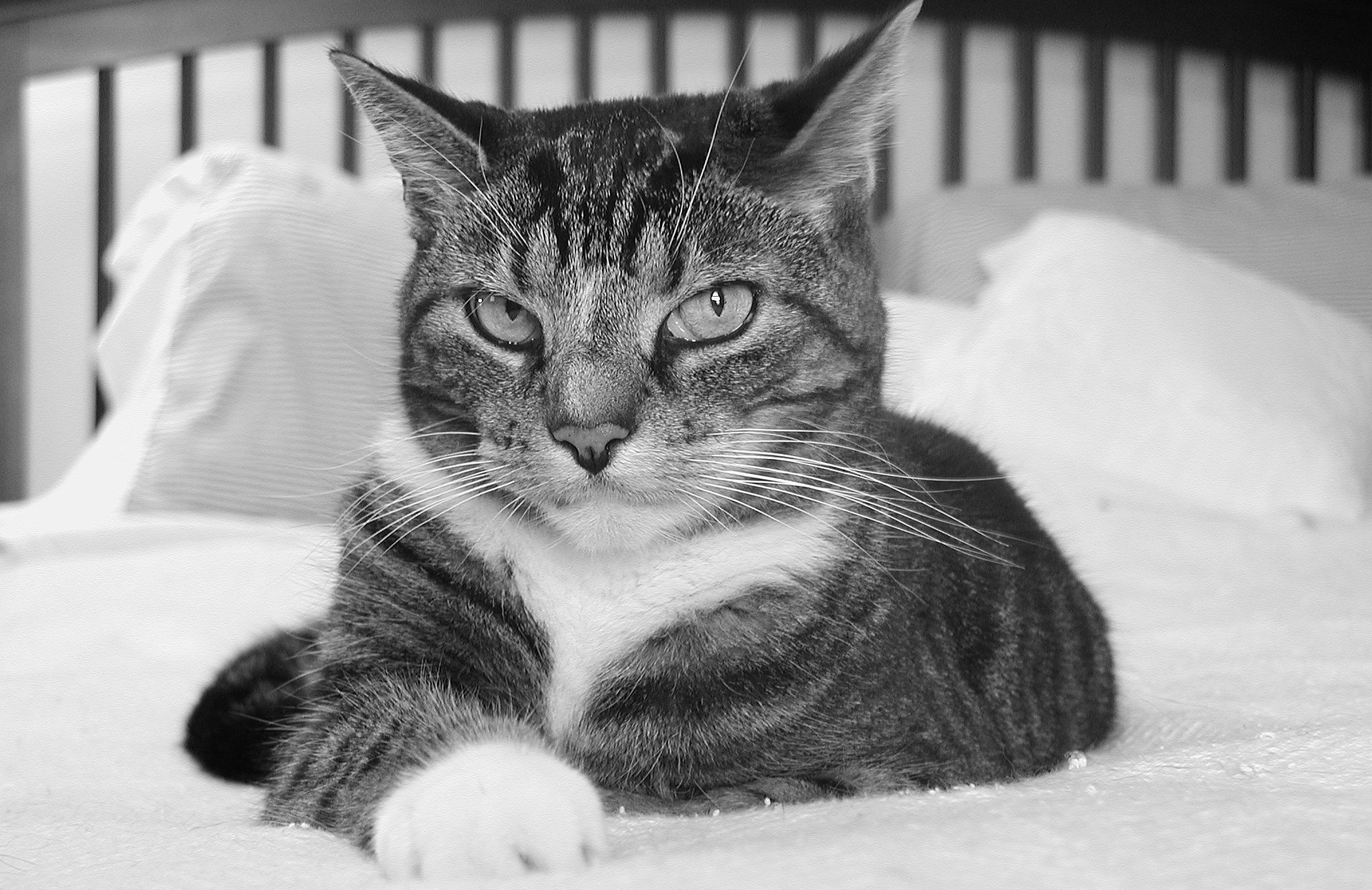 Homemover Insights & Data Agency | TwentyCi